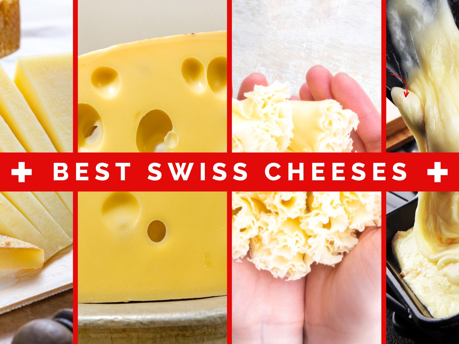 10 Best Swiss Cheeses (Guaranteed To Knock Your Socks Off)