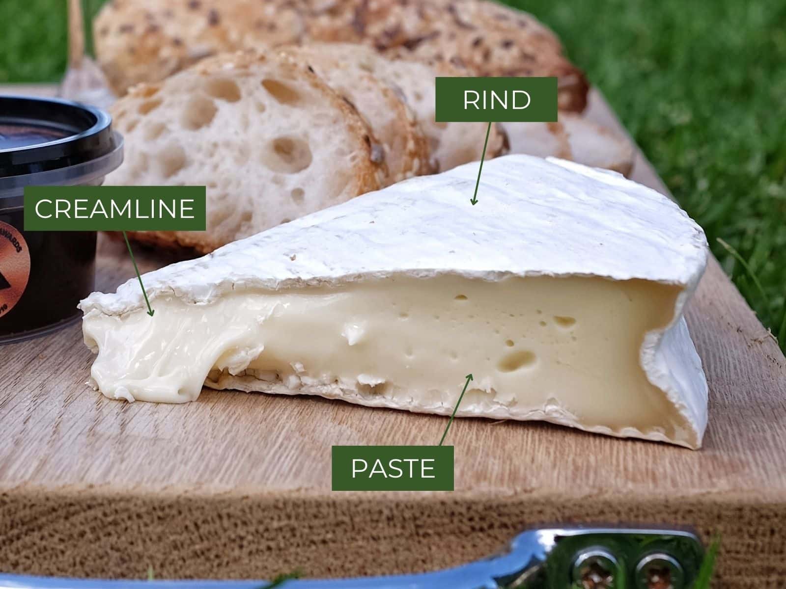 The Different Parts of Cheese (Inside & Outside)
